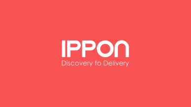 Ippon Technologies' Success with Lusha: Up to 80% Data Accuracy